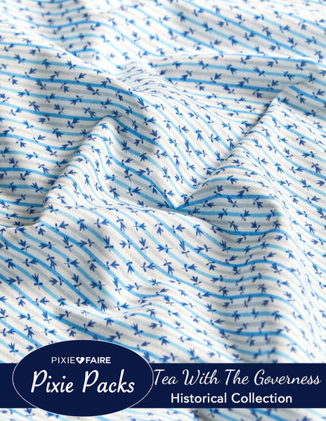 Pixie Packs Tea With The Governess Dress Historical Collection